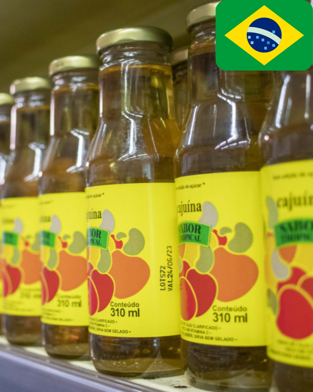 Bebidas típicas de América del Sur | Todas las bebidas