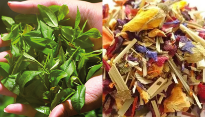 Diferencia entre Té, Tisana e Infusión